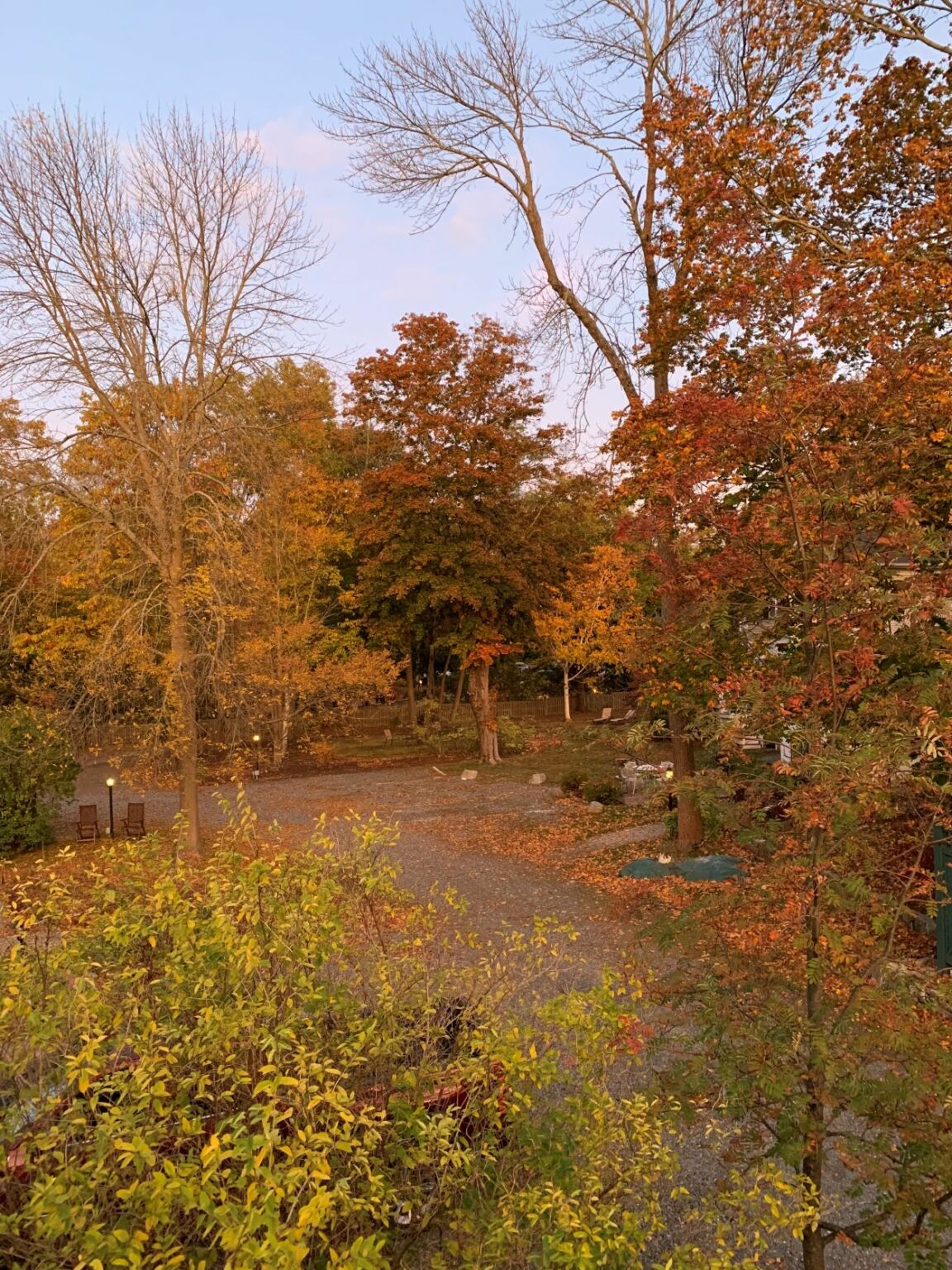 Fall Color Has Arrived - Mira Monte Inn